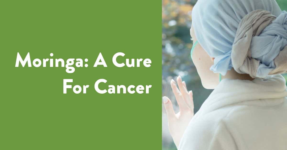 Moringa: A Cure For Cancer