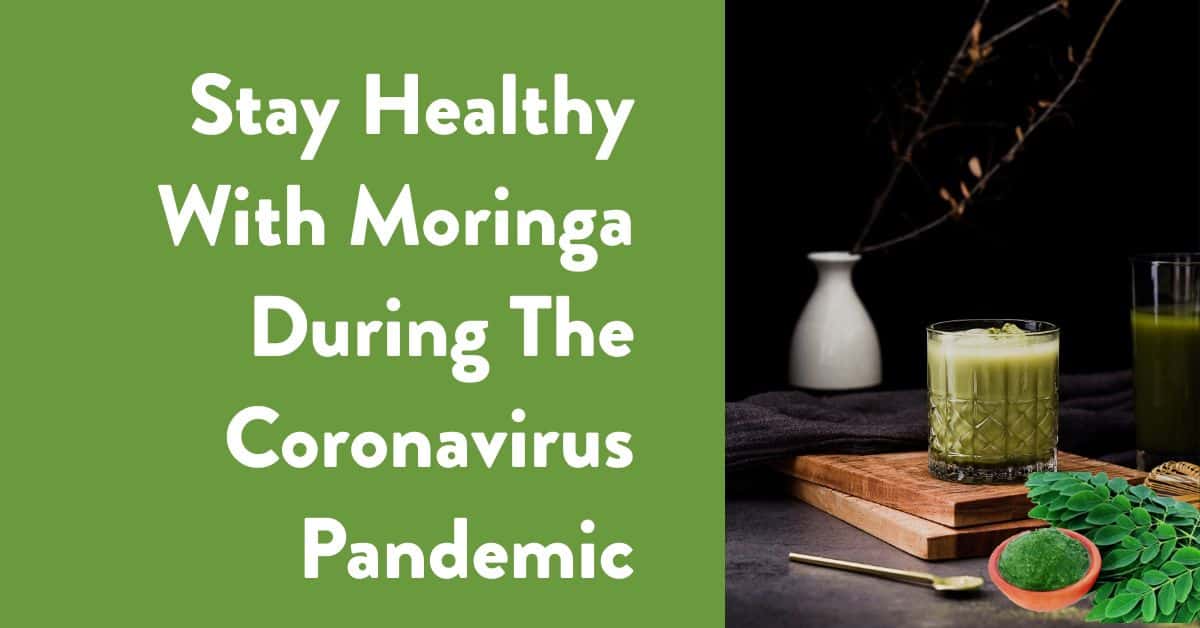 Stay Healthy With Moringa During The Coronavirus Pandemic - Inside Moringa